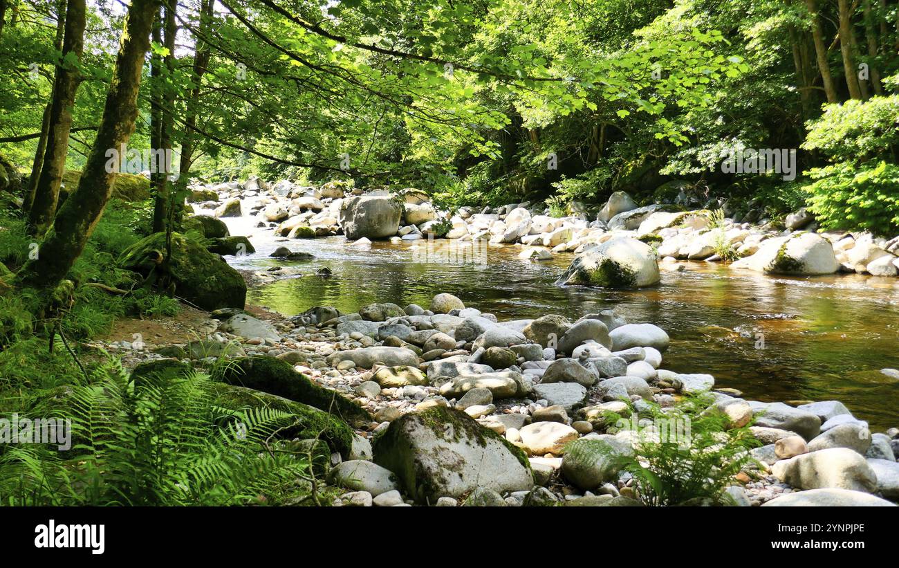 In the romantic Murg Valley Stock Photo - Alamy
