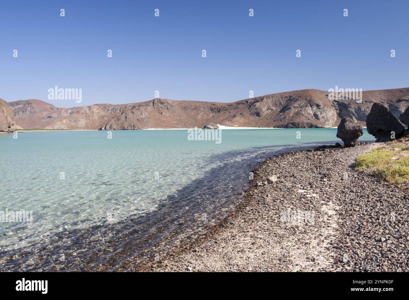 Balandra beach. La Paz, Baja California Sur. Mexico Stock Photo - Alamy
