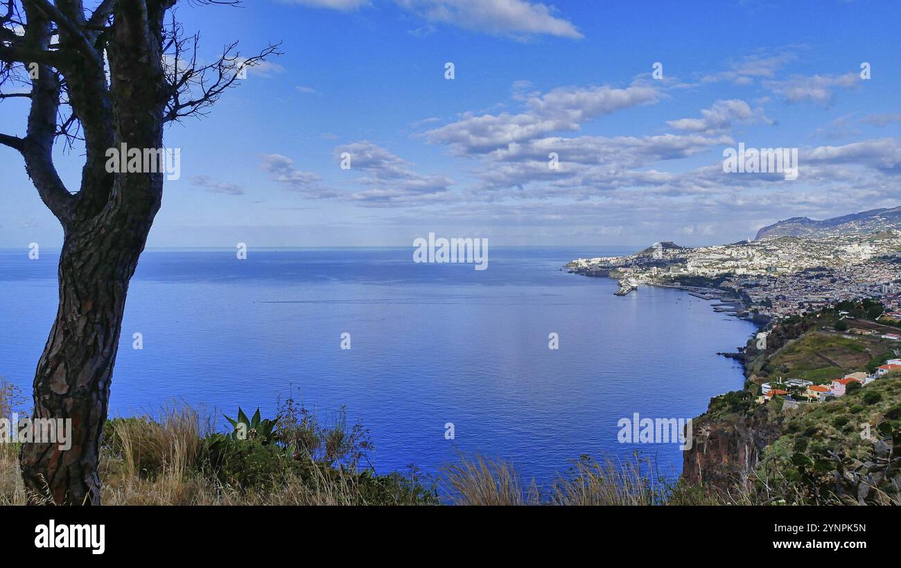 Overview funchal madeira hi-res stock photography and images - Alamy