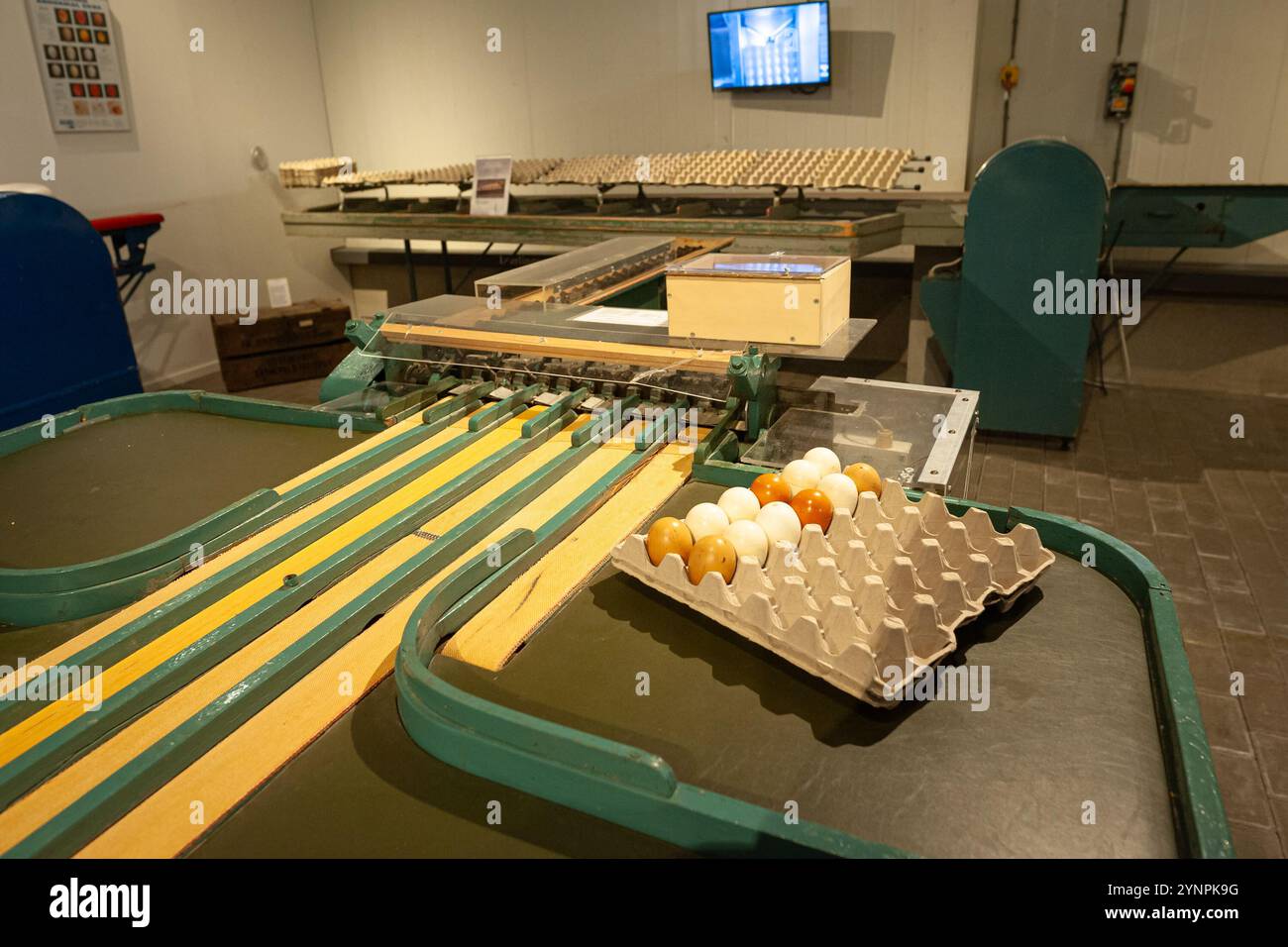 Old egg sorting machine at the poultry museum in Barneveld, The ...