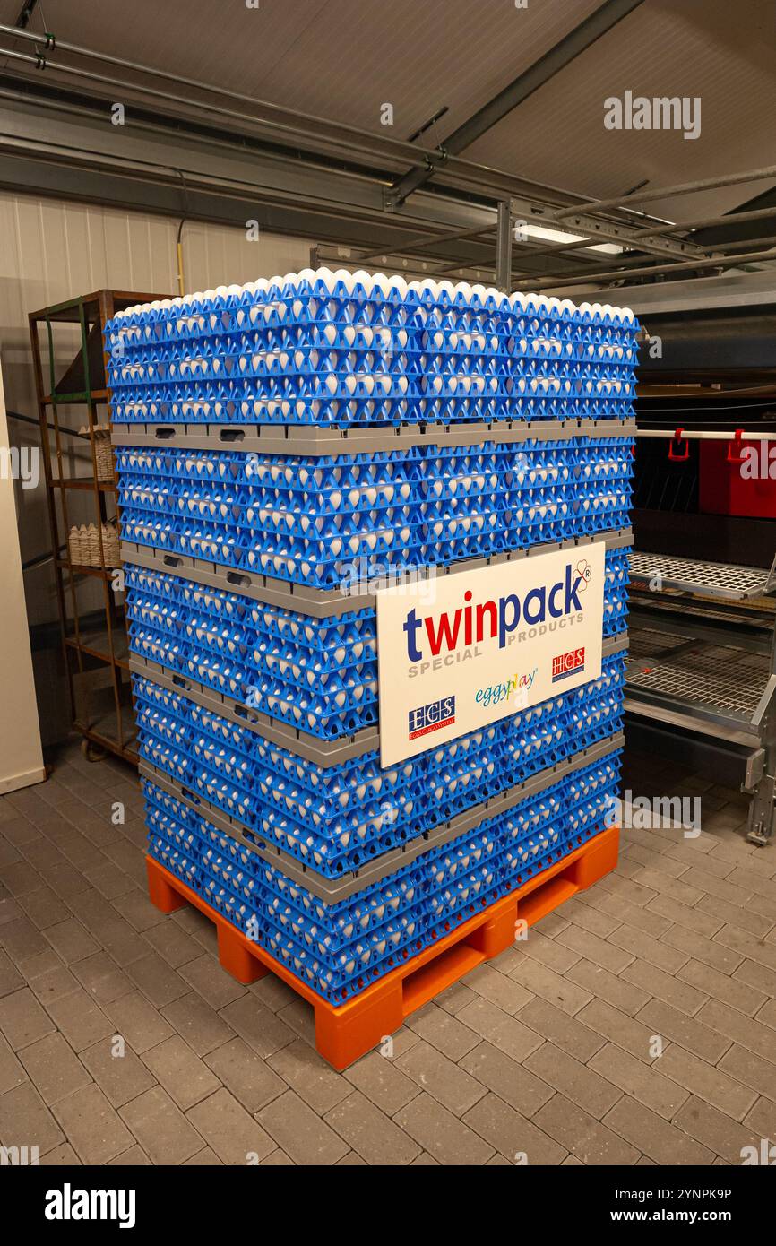 Boxes of eggs on a pallet ready for transport at the poultry museum in ...