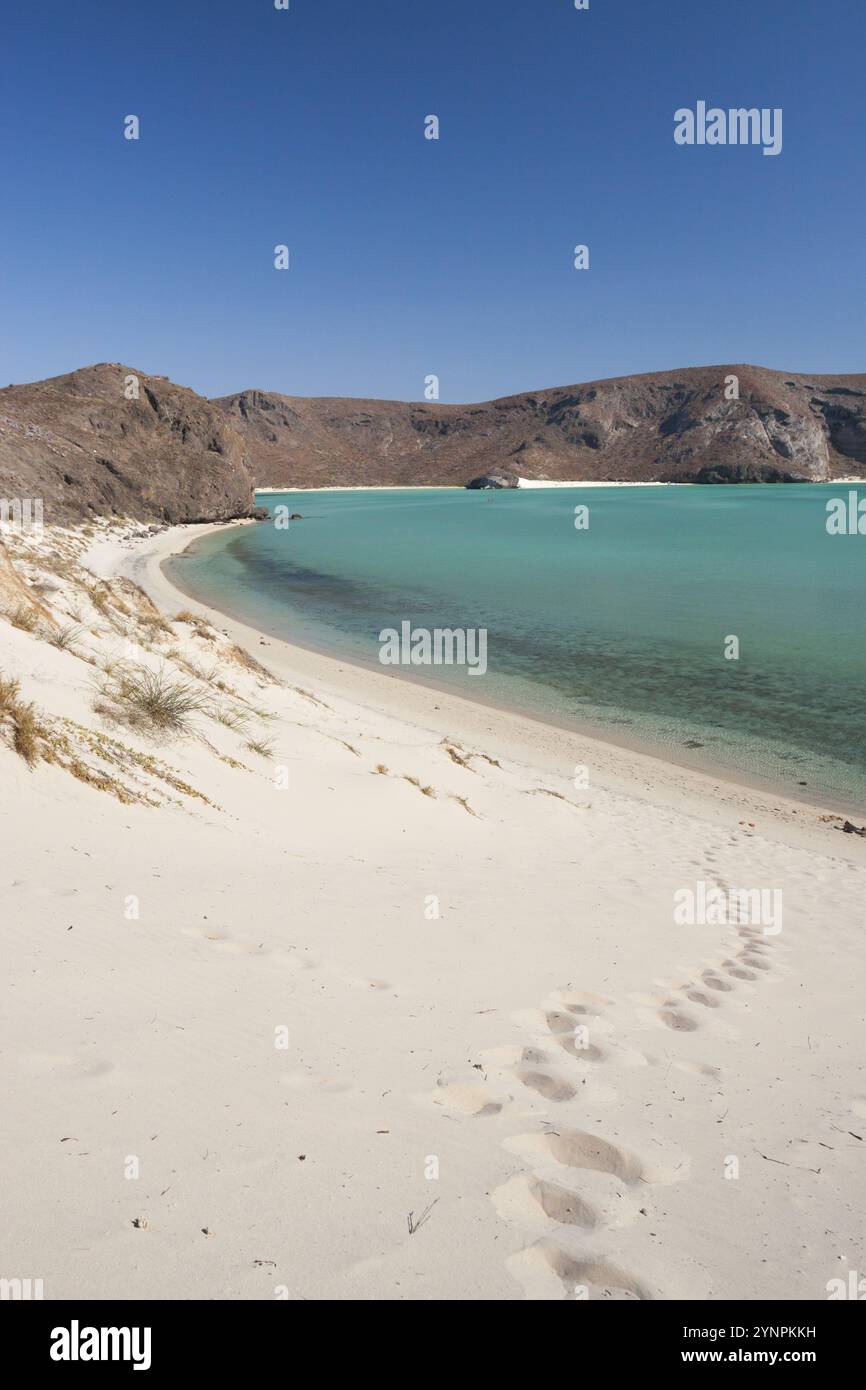 Balandra beach. La Paz, Baja California Sur. Mexico Stock Photo - Alamy