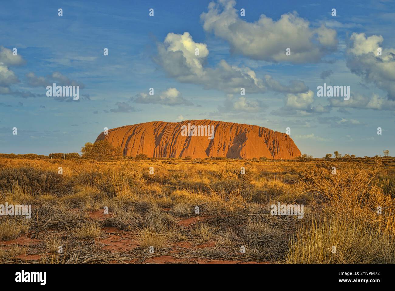 Ayers Rock or Uluru respectively at sun set. Photo shot in 2020 and ...