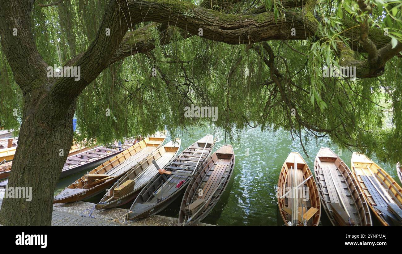 Punting barges on the Neckar in Tuebingen Stock Photo - Alamy