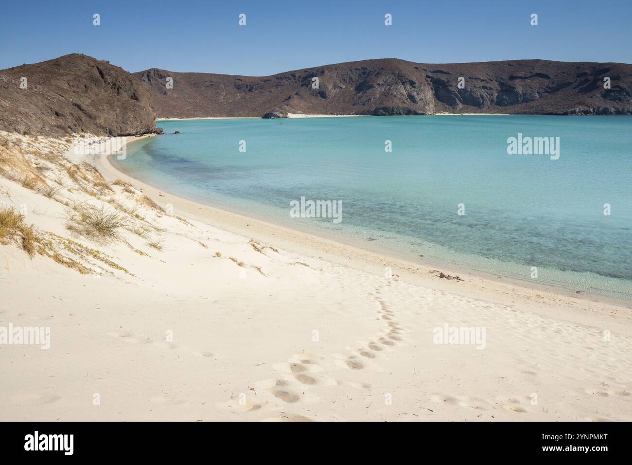Balandra beach. La Paz, Baja California Sur. Mexico Stock Photo - Alamy