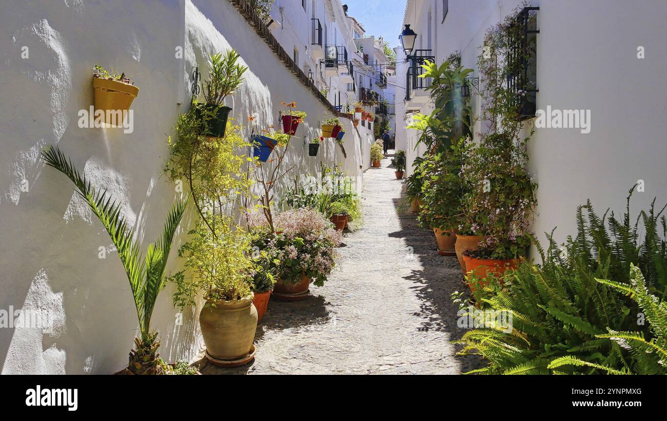 Flower-decorated alley in Frigiliana, Andalusia Stock Photo - Alamy