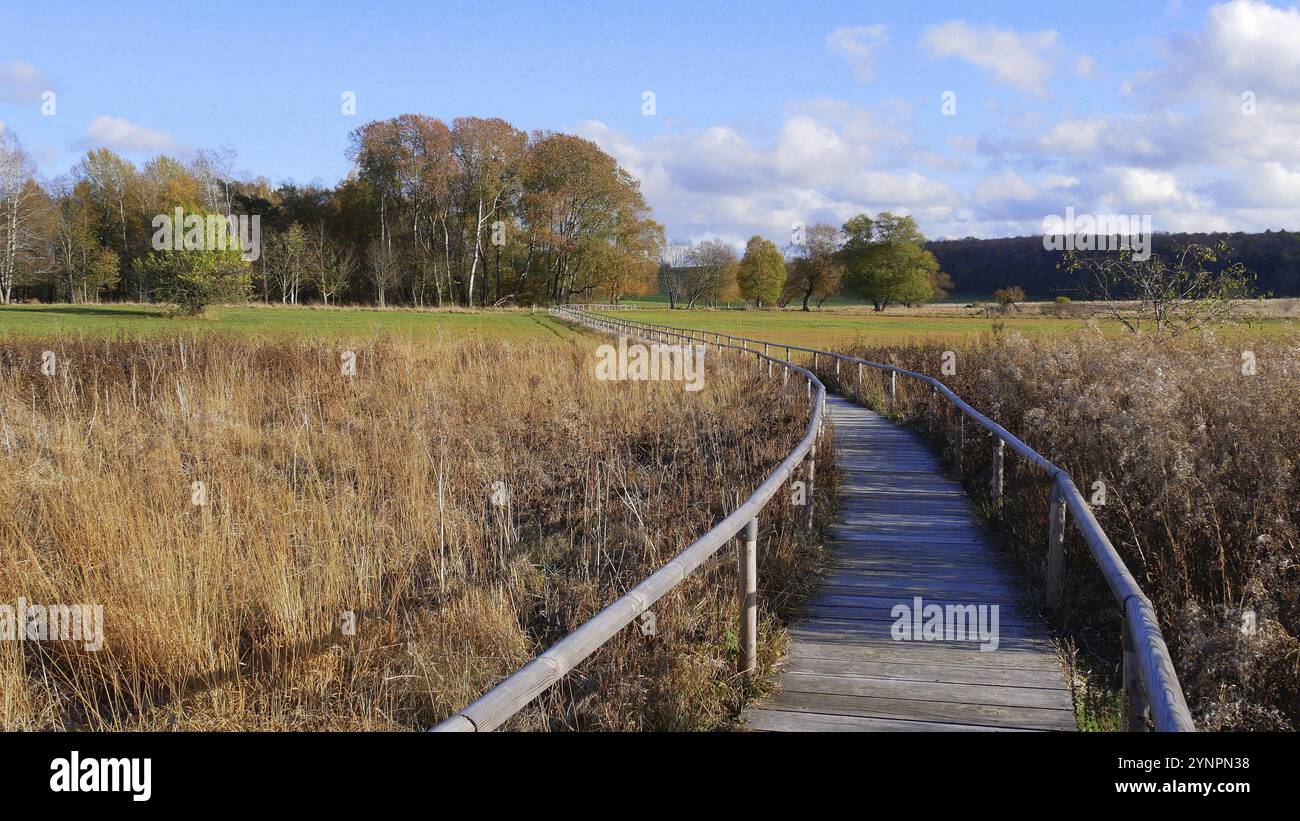 Walking trail through marsh hi-res stock photography and images - Alamy