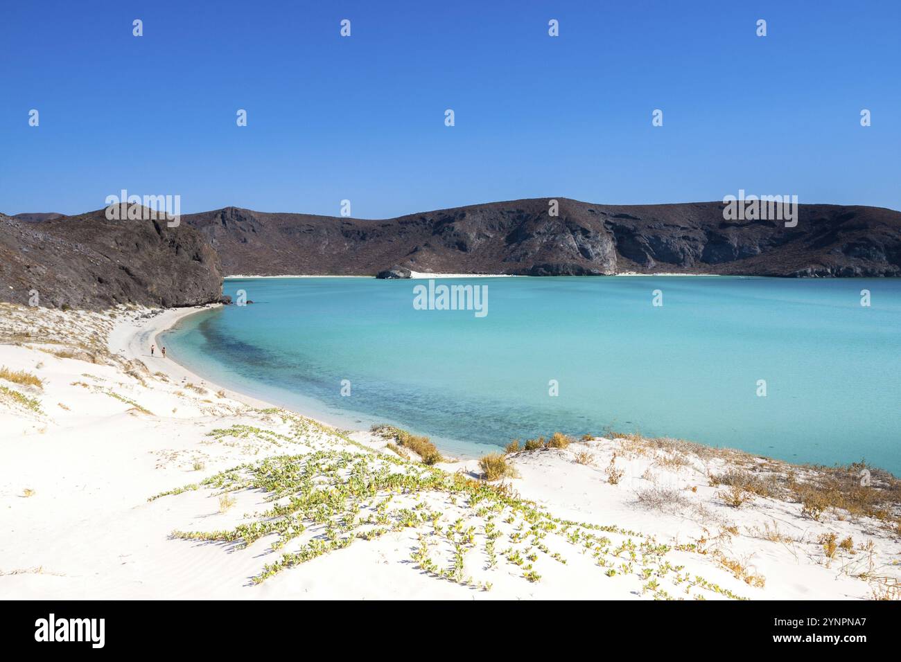 Balandra beach. La Paz, Baja California Sur. Mexico Stock Photo - Alamy