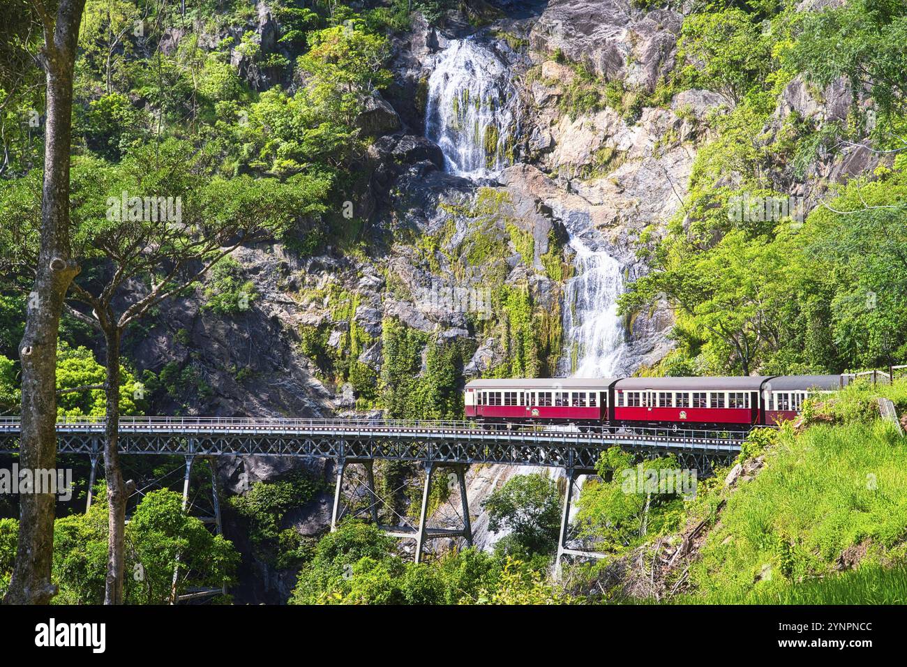 Kuranda scenic railway winling up the tracks from Freshwater Station to ...