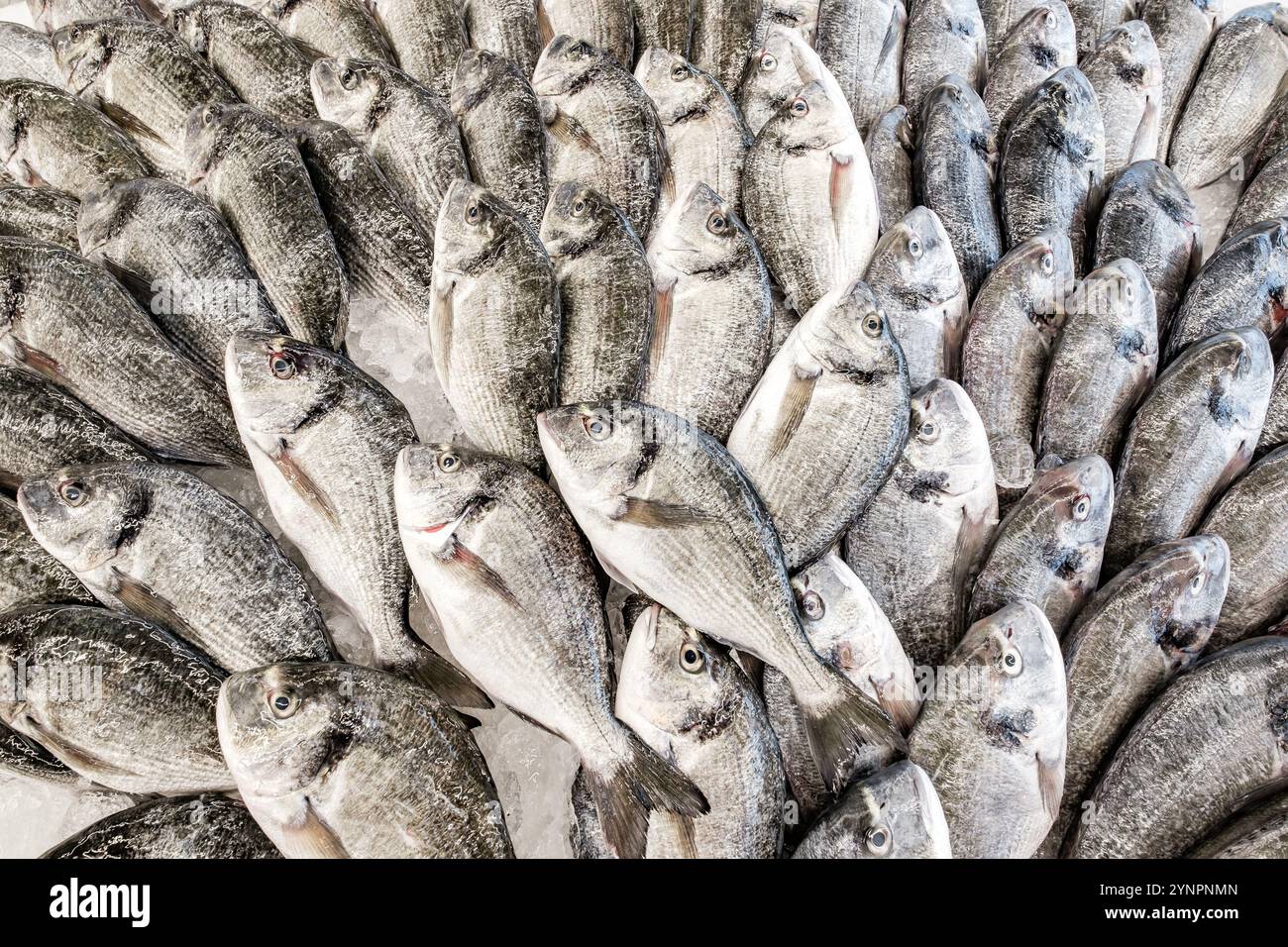 Fresh sea fish on sold hi-res stock photography and images - Alamy