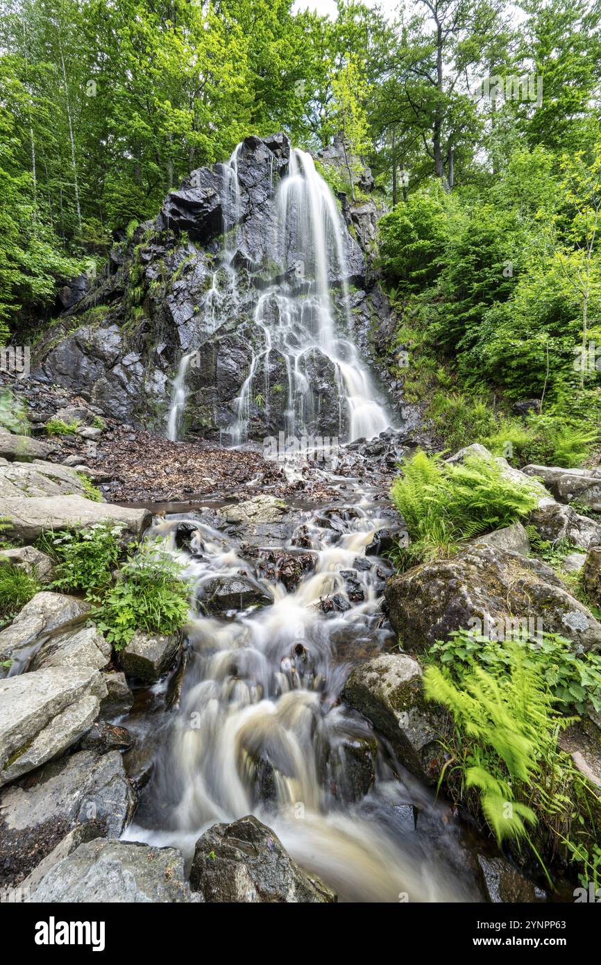 A view of the Radau waterfall in the Harz Mountains in Germany in ...