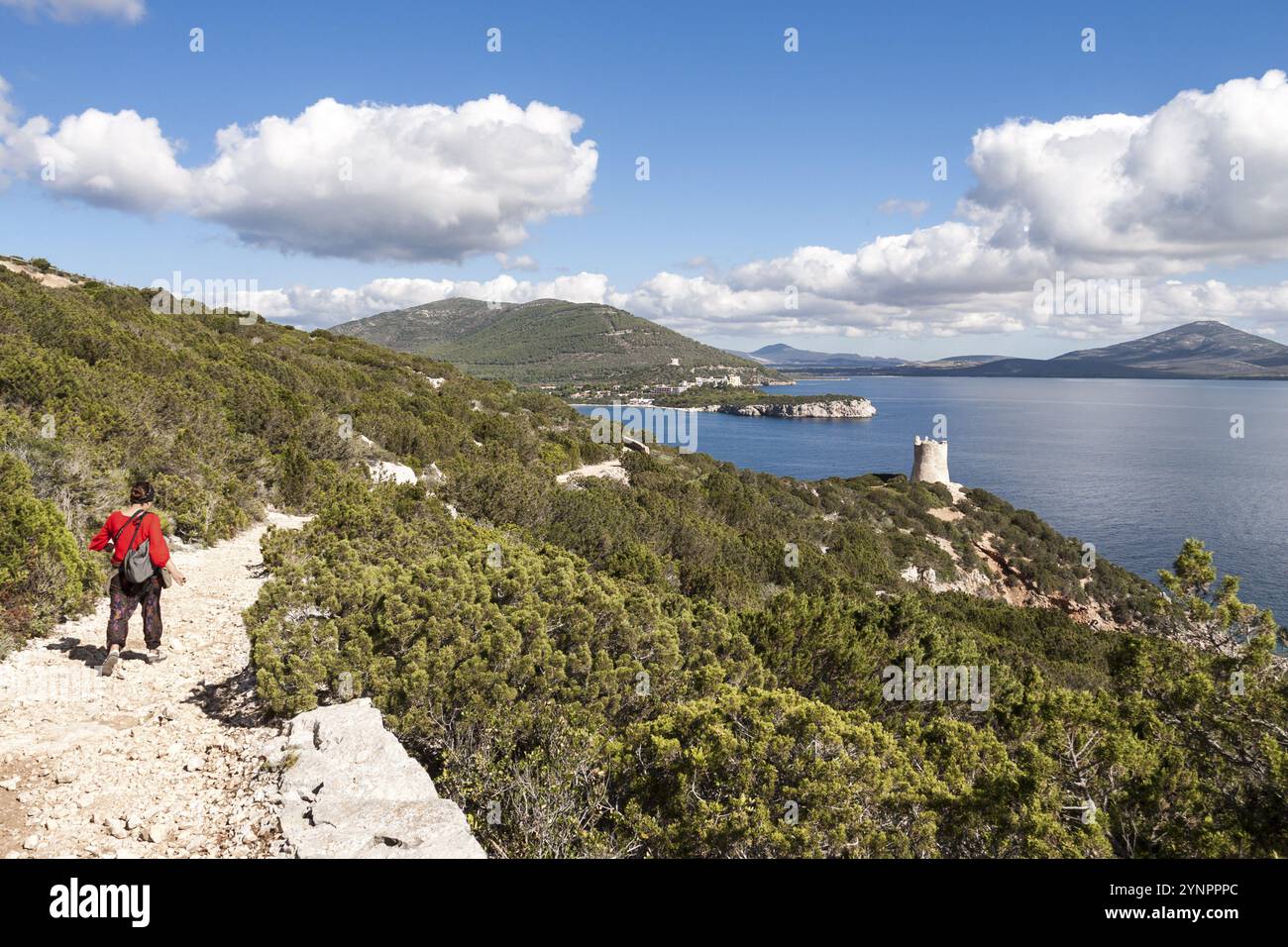 Buru tower hi-res stock photography and images - Alamy