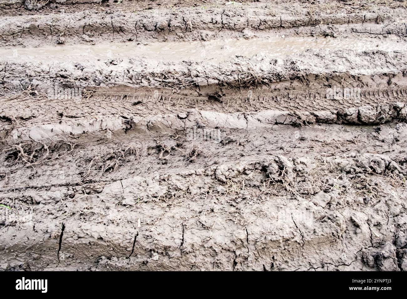 dirt on road and tracks from car wheels Stock Photo - Alamy