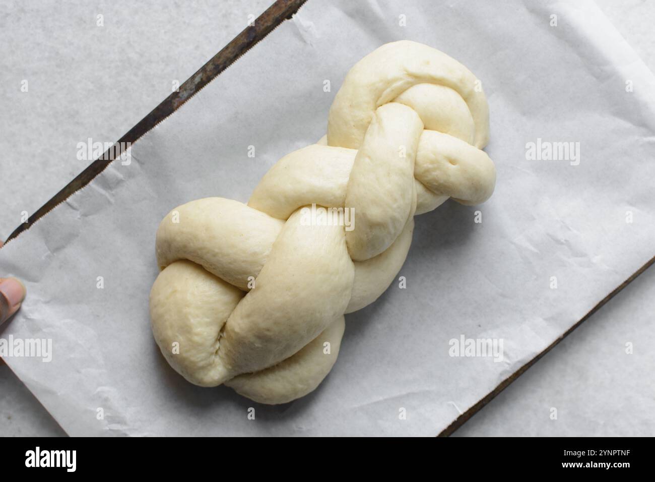 Overhead view of 2 strand challah rising on a parchment lined baking ...