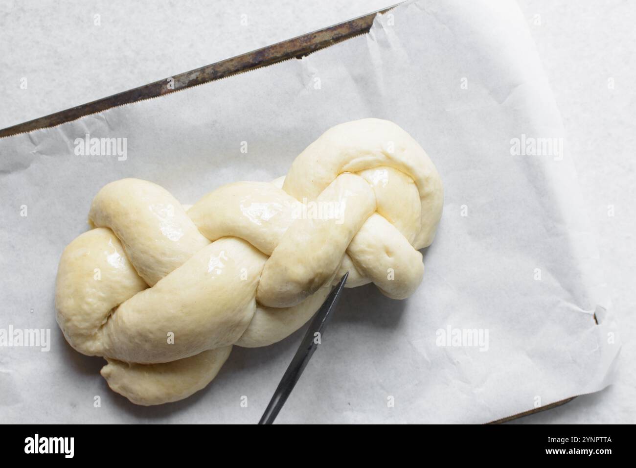 Overhead view of 2 strand challah rising on a parchment lined baking ...