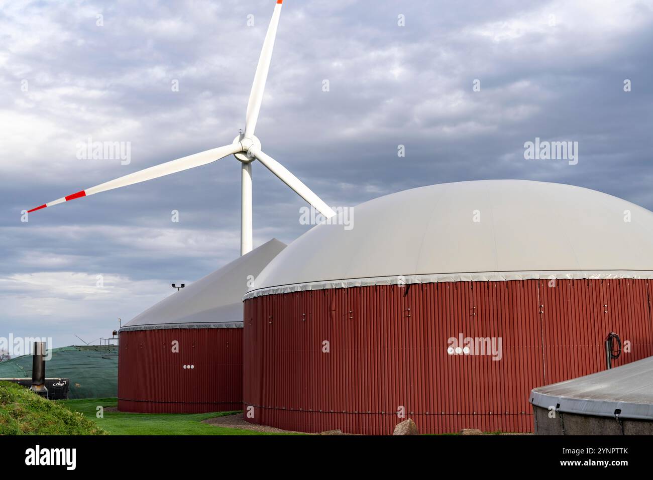 Biogas plant produces gas from various biomass, electricity is ...