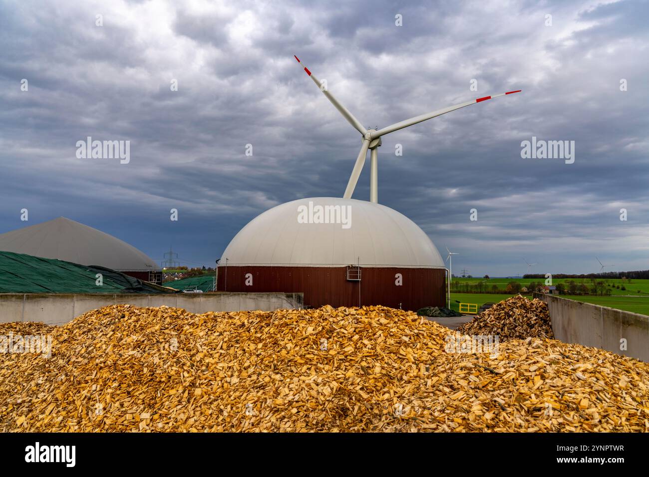 Biogas plant produces gas from various biomass, here the sugar beet ...