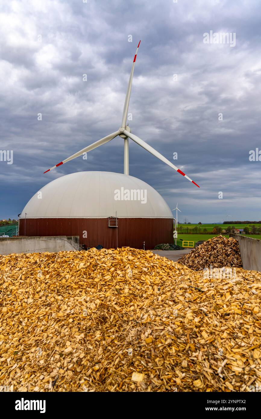 Biogas plant produces gas from various biomass, here the sugar beet ...