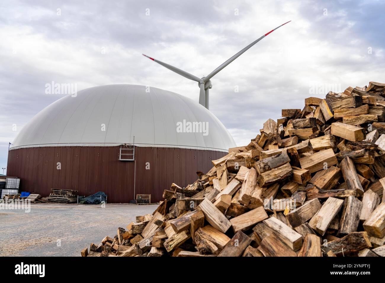 Biogas plant produces gas from various biomass, here the wood storage ...