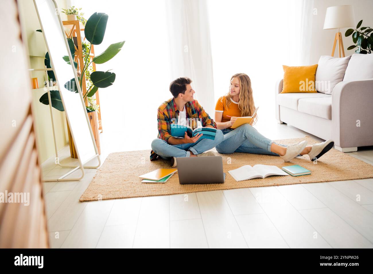 Happy young couple studying together in a bright and cozy living room ...