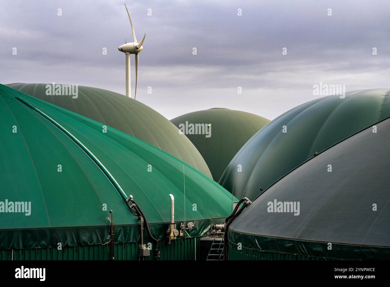 Biogas plant, the gas is produced from various biomass, including waste ...