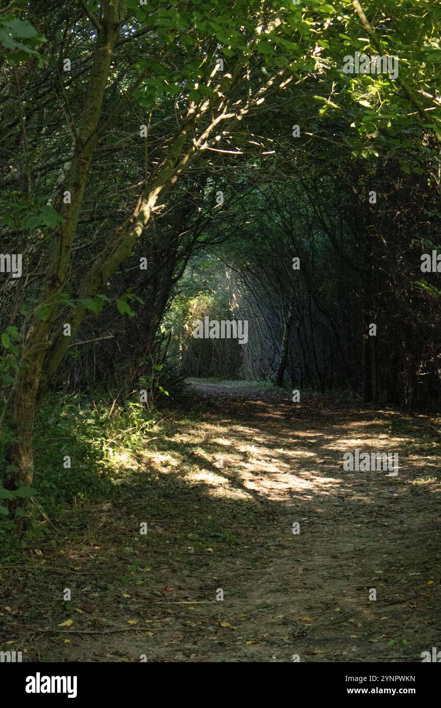 Arger fen suffolk hi-res stock photography and images - Alamy