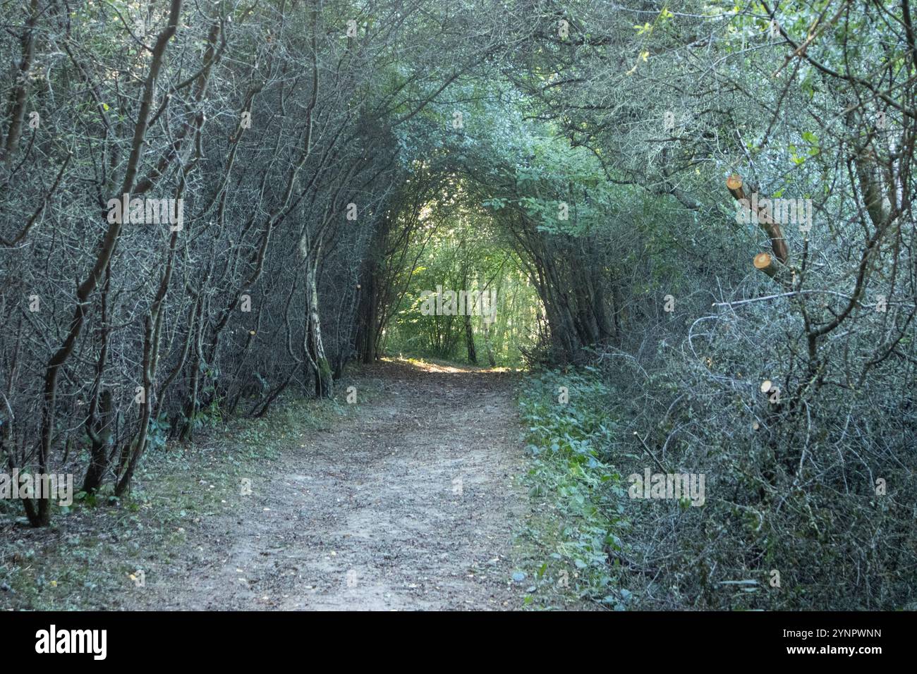 Arger fen suffolk hi-res stock photography and images - Alamy