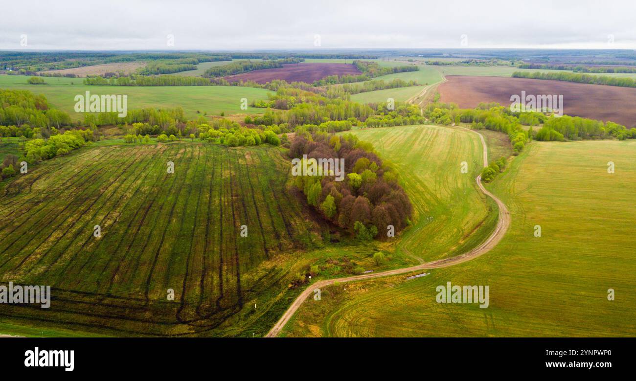 Fields and grasslands of Central Russia Stock Photo - Alamy