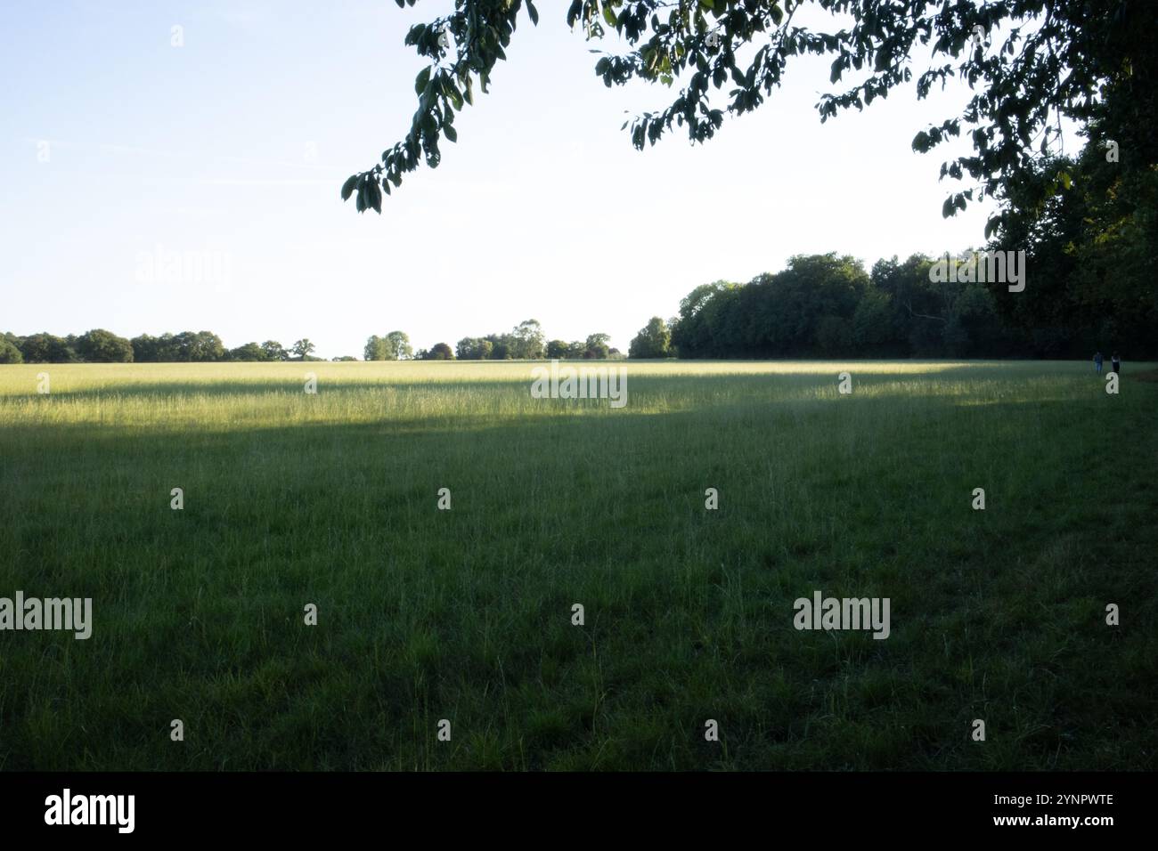 Arger fen suffolk hi-res stock photography and images - Alamy