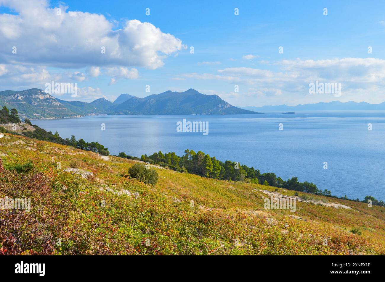 Southern coastline of Peljesac peninsula Stock Photo - Alamy