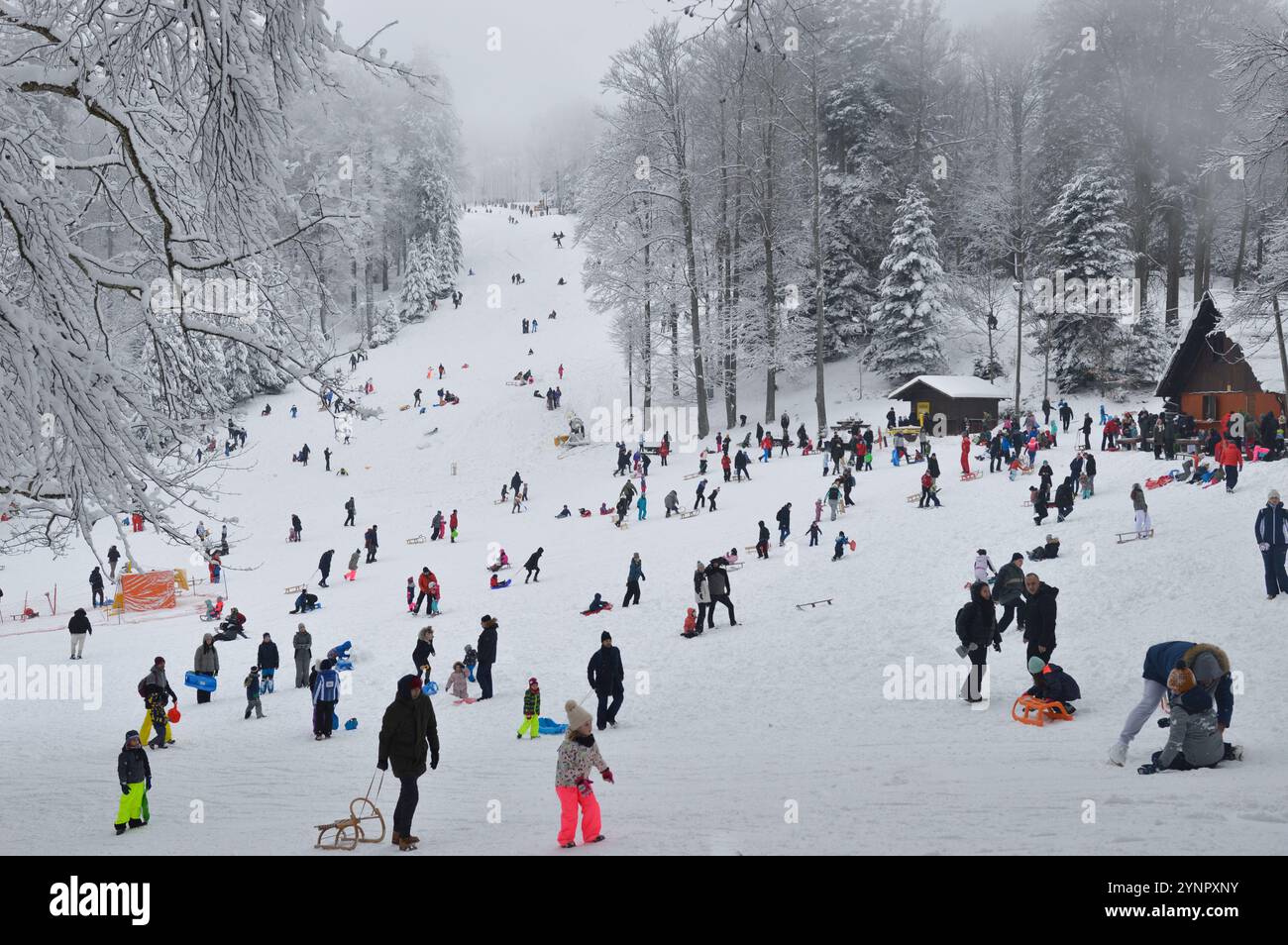 People sledding on slopes of the Medvednica mountain Stock Photo - Alamy