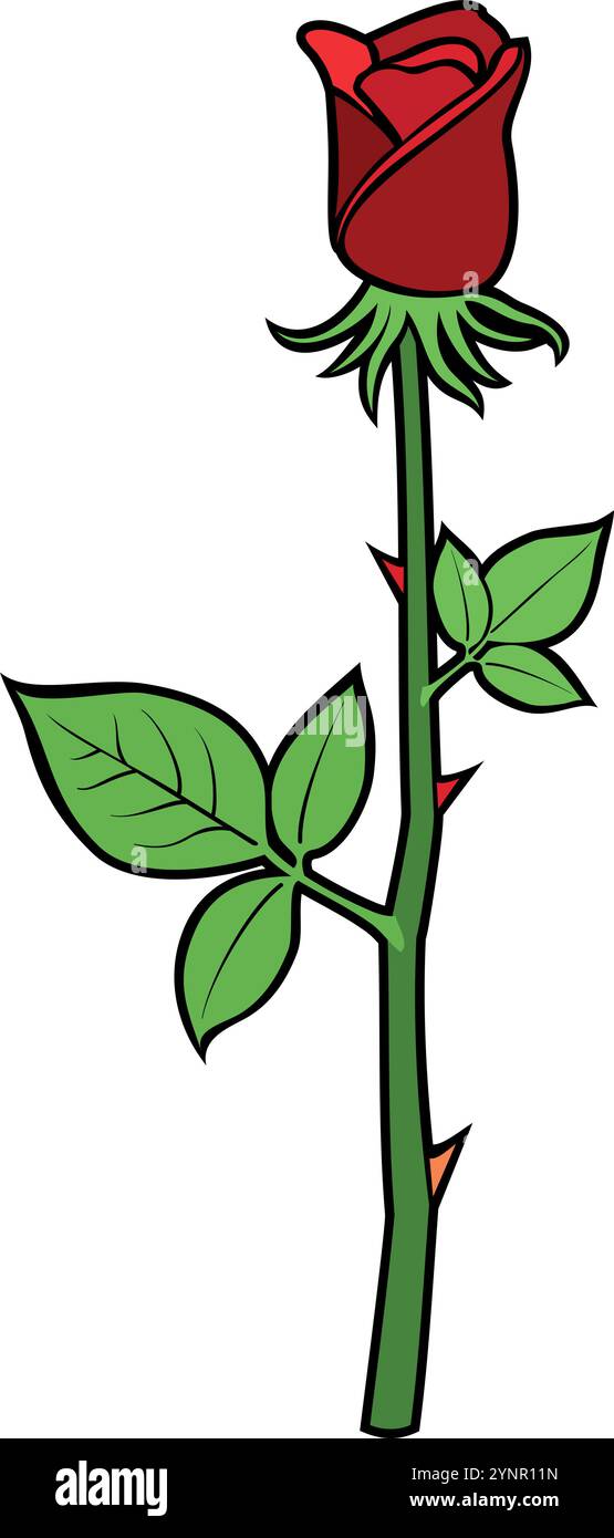 Rose bud with thorns Stock Vector Images - Alamy