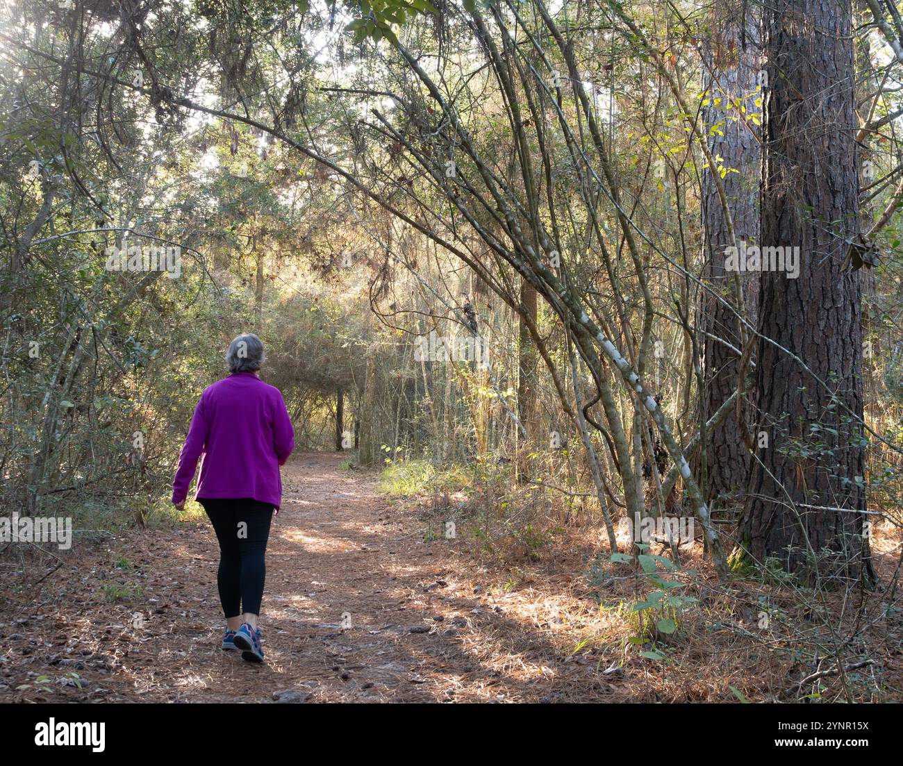 Senior woman wearing black leggings and a fushsia fleece jacket walking along a wooded trail ...