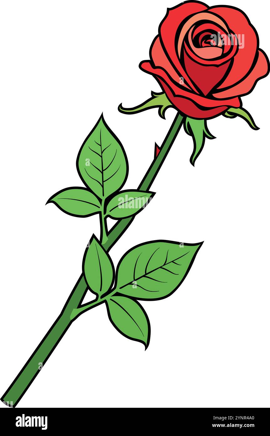 Red rose drawing. Blooming flower. Beautiful plant isolated on white ...