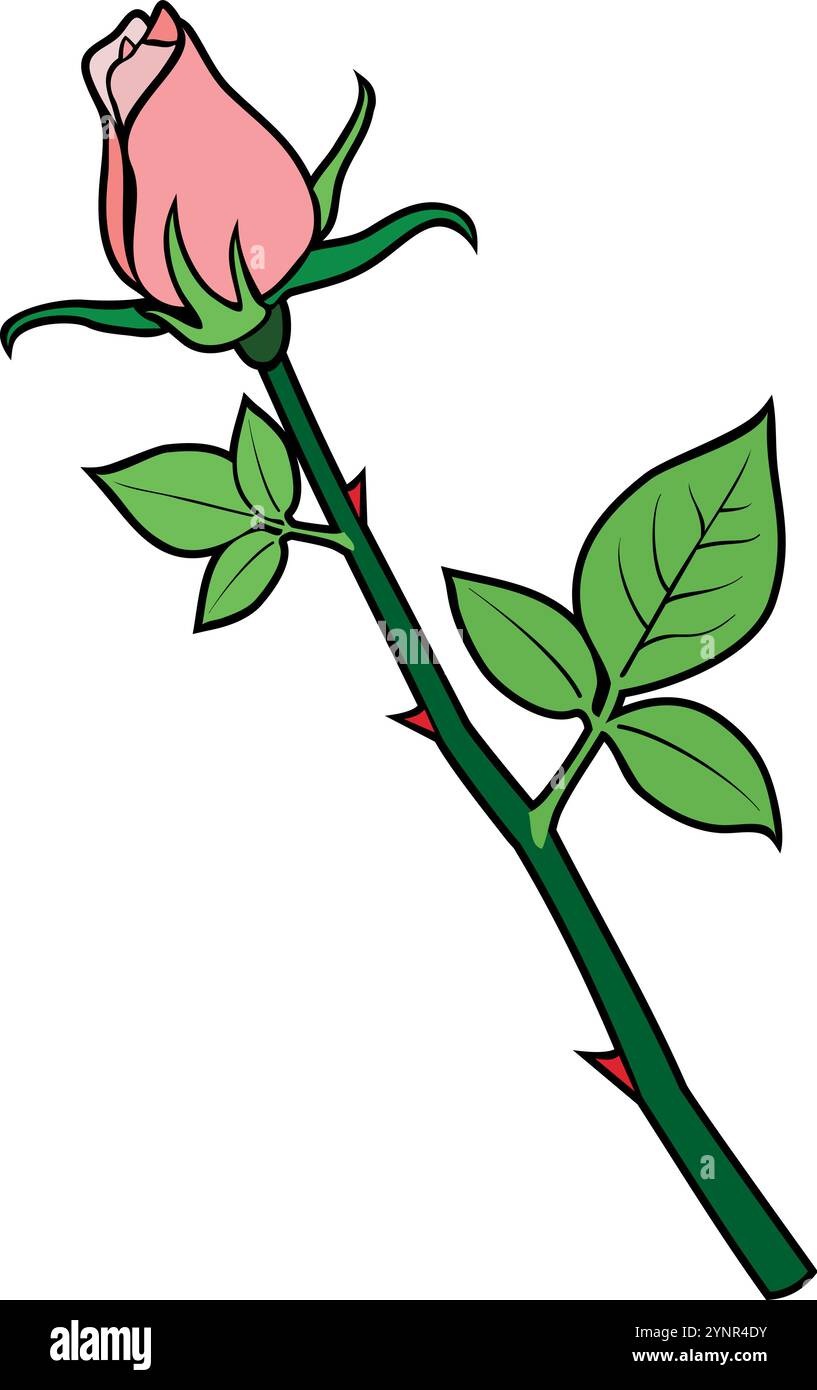 Pink rose plant natural Stock Vector Images - Alamy