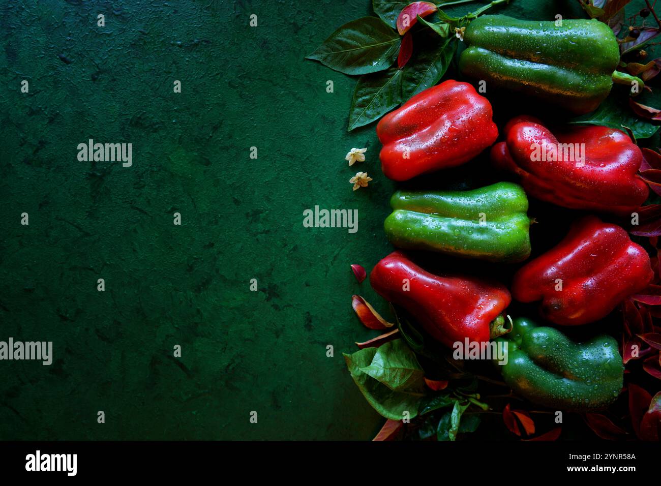 Red and Green Capsicum Bell Peppers. Horizontal orientation with copy ...