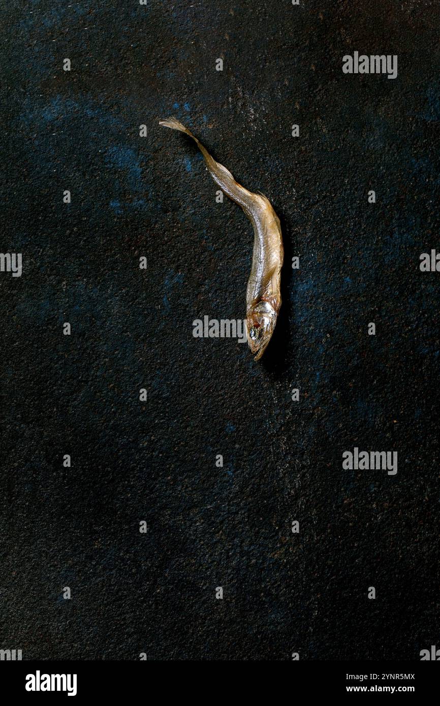 One dried sun-dried sea fish smelt hamsa anchovy on dark textured ...
