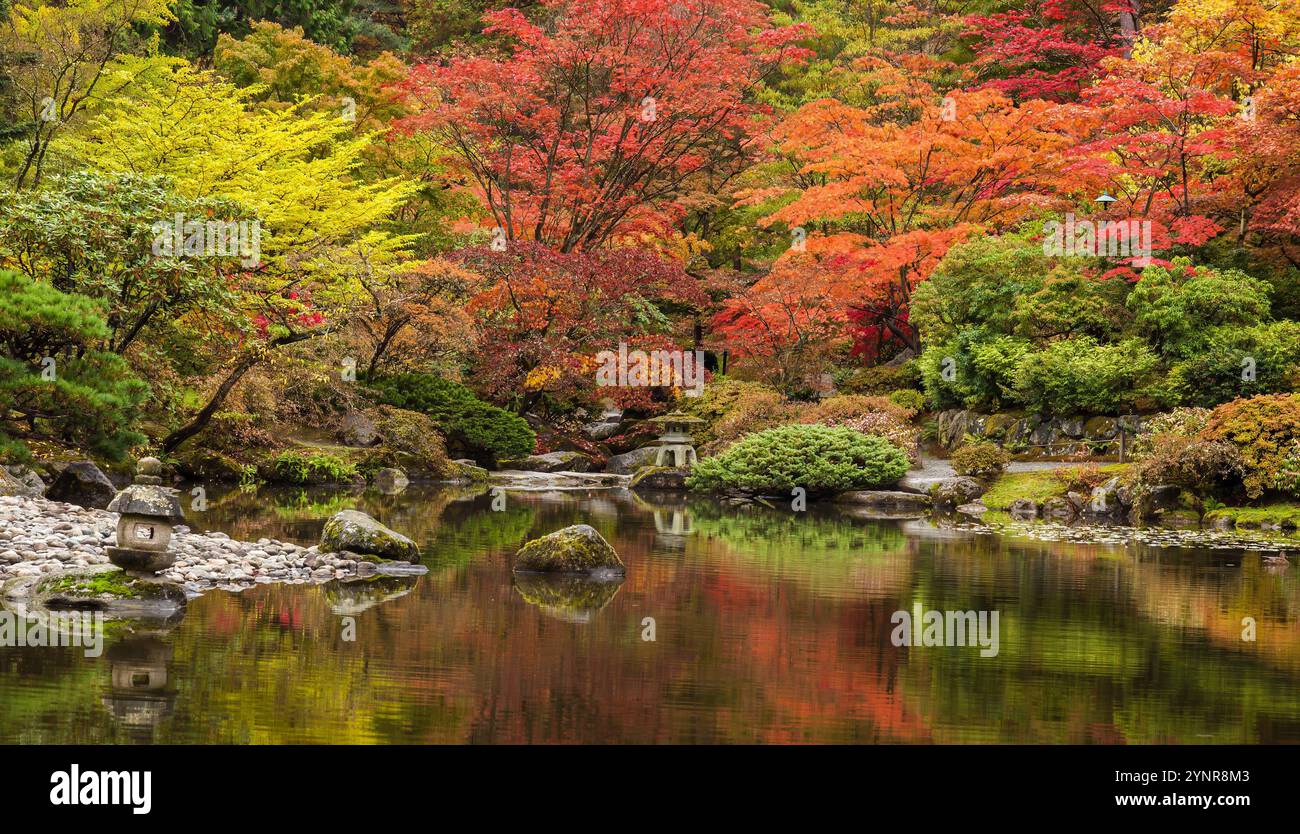 Washington Park Seattle Arboretum Japanese Garden Fall Colors Stock ...