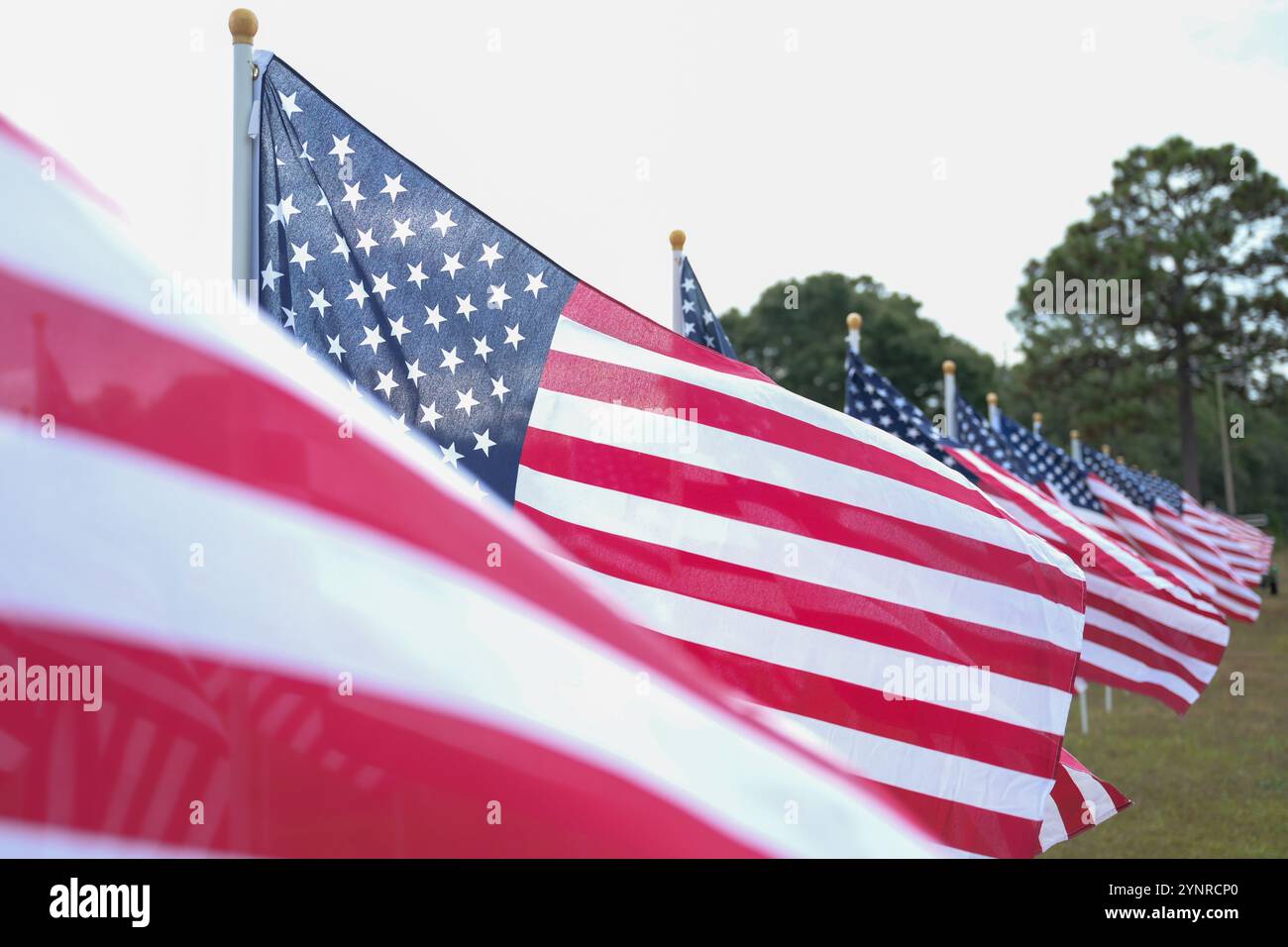 American flags blow in the wind during a Salute a Veteran event at the ...