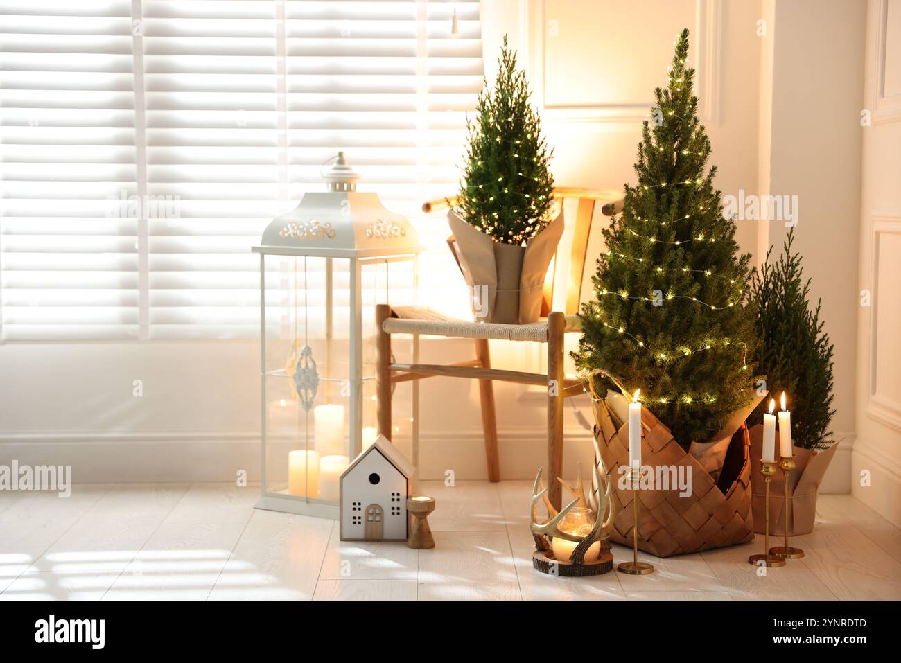 Small spruce trees with Christmas lights and other decor indoors Stock ...