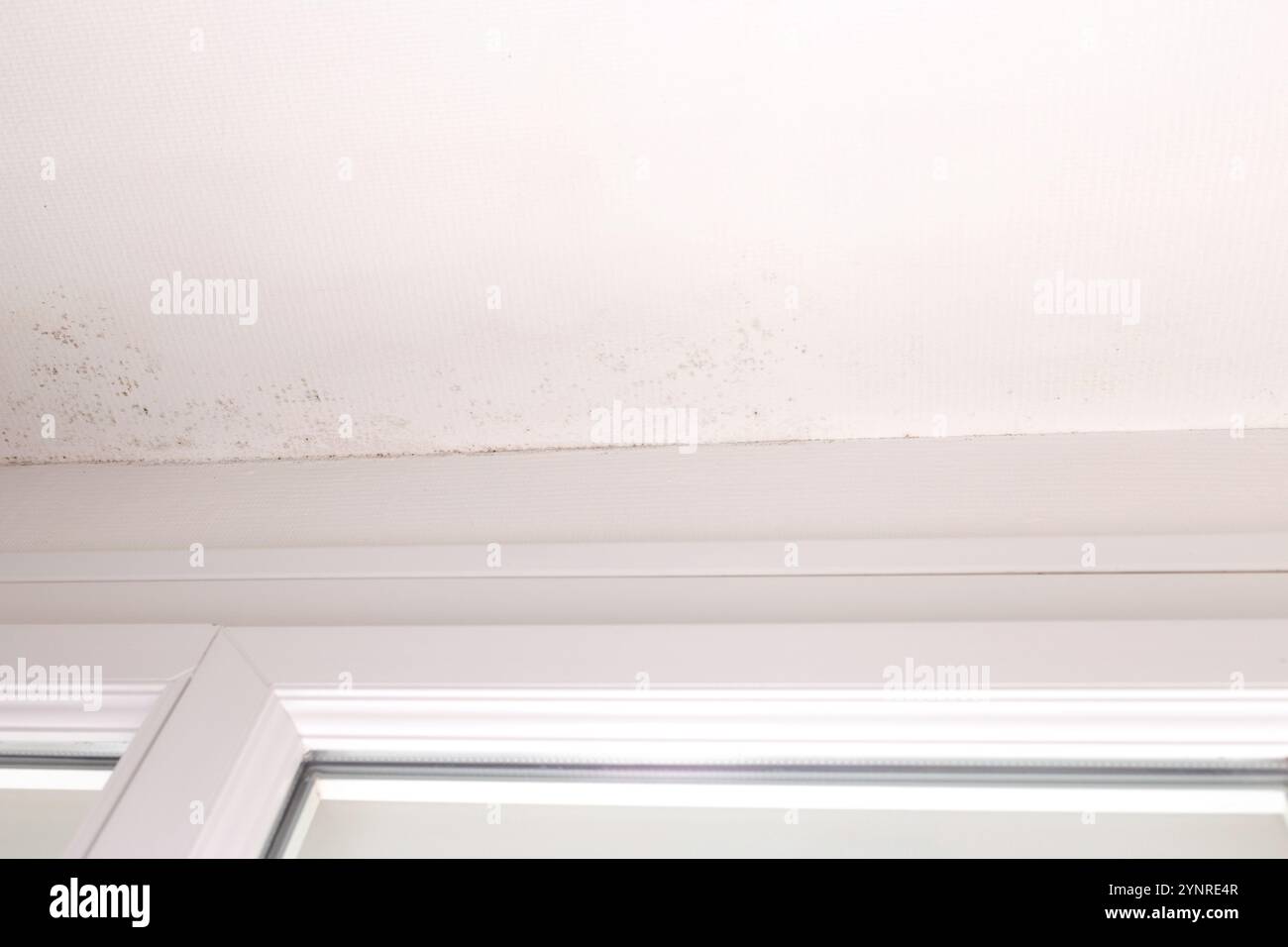 Ceiling near window frame with mold spots and moisture damage on white ...