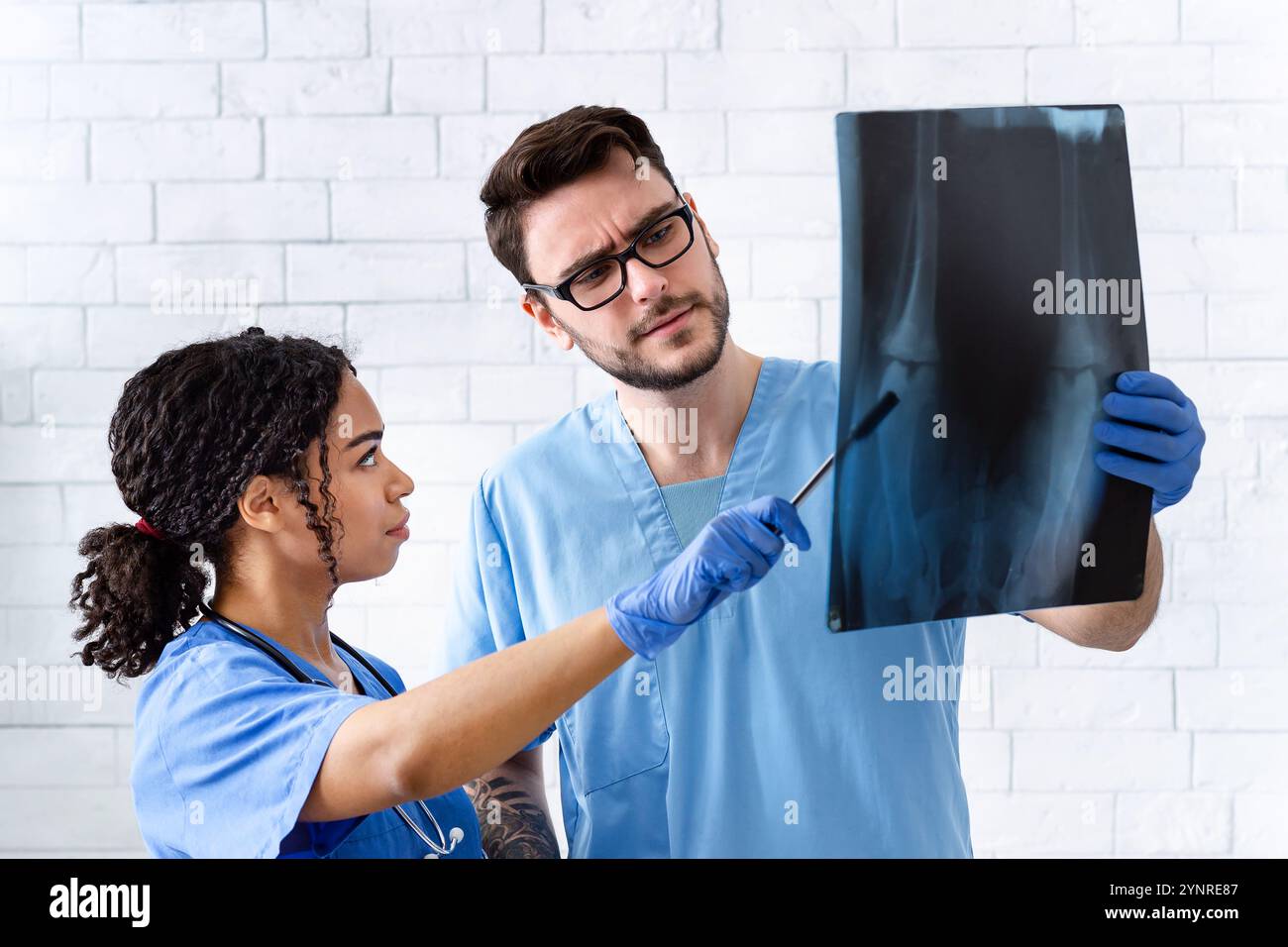 Animal radiology. Veterinarian doctor with assistant studying xray at ...