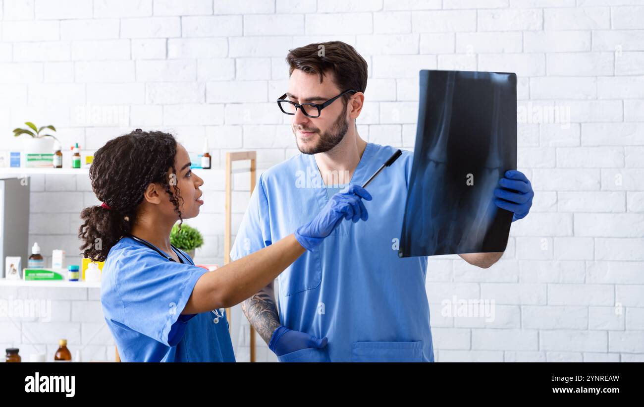 Veterinary radiology. Vet doc with assistant studying animal xray in ...