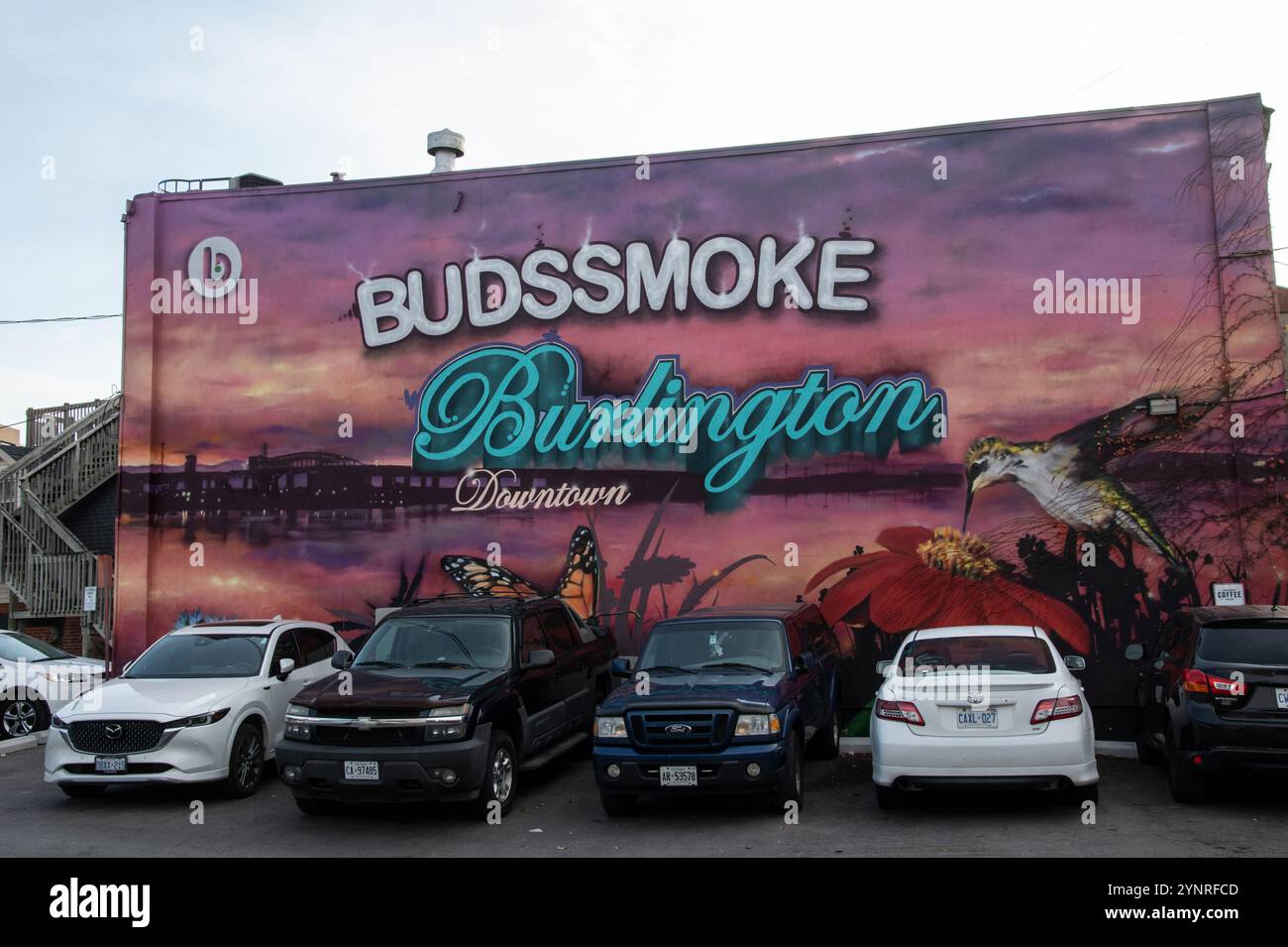 Budssmoke hi-res stock photography and images - Alamy