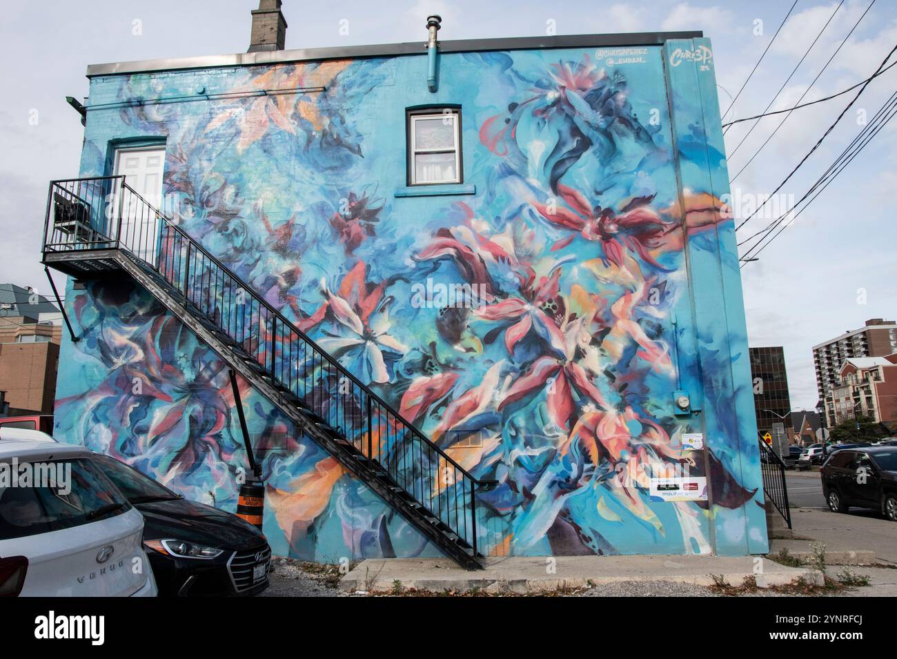 Floral mural on John Street in downtown Burlington, Ontario, Canada ...