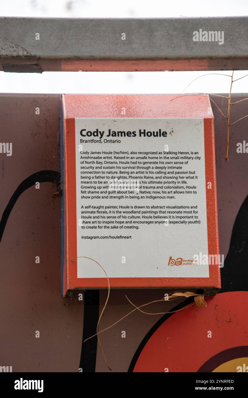 Information sign for indigenous bird mural at Spencer Smith Park in ...