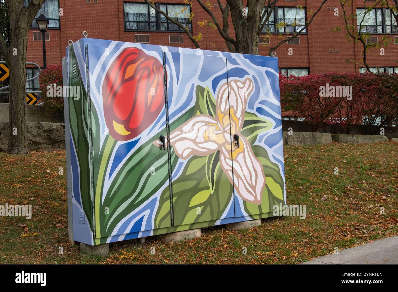 Tulip mural on an electrical traffic control box at Spencer Smith Park ...