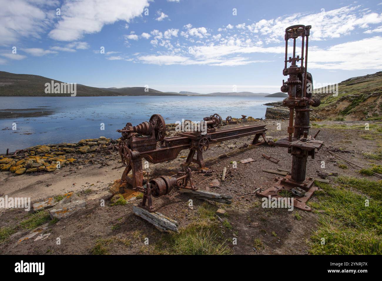 Remnants of the early twentieth century Whaling Station on New Island ...