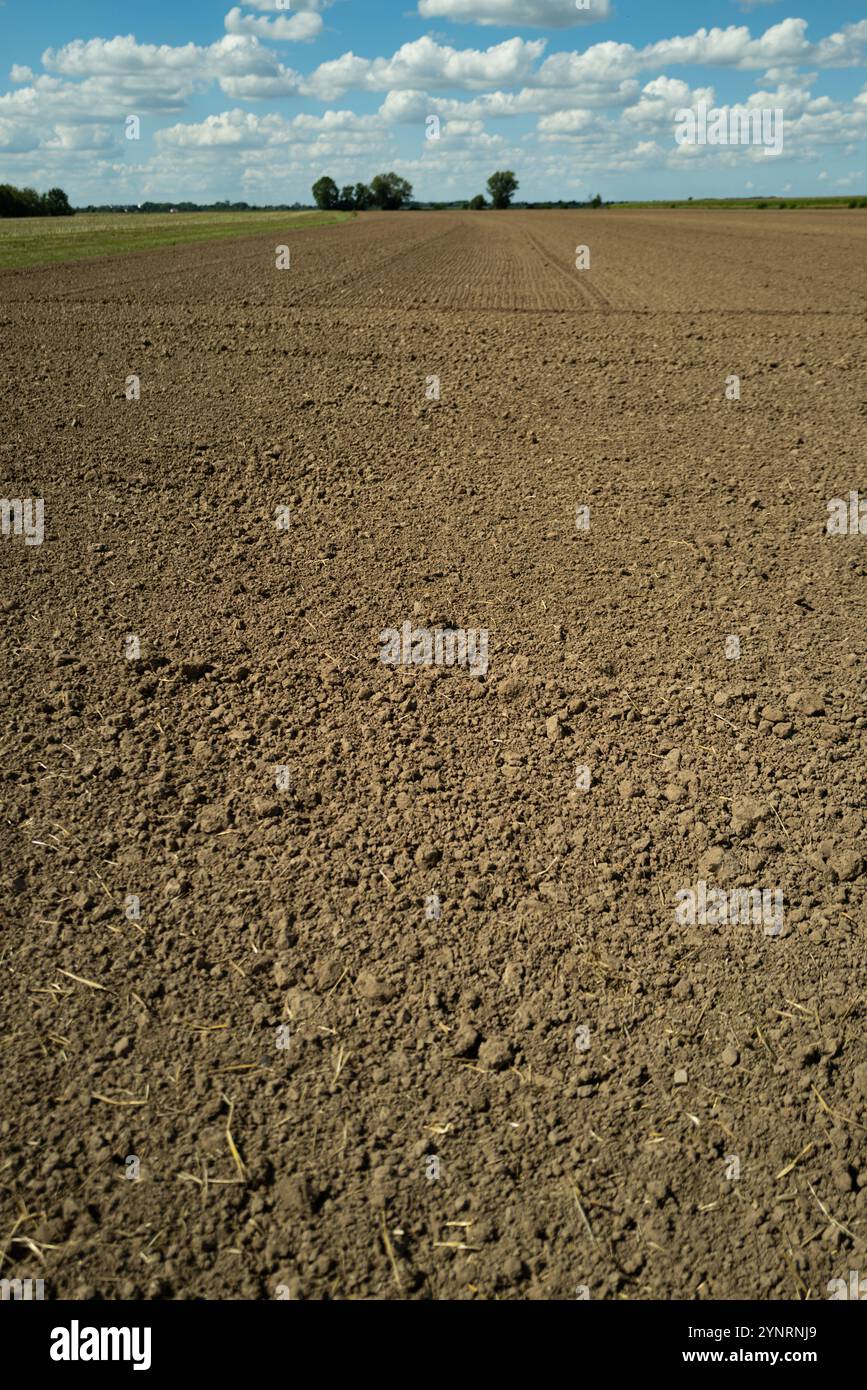 Soil texture background for gardening. Organic gardening. Agriculture ...