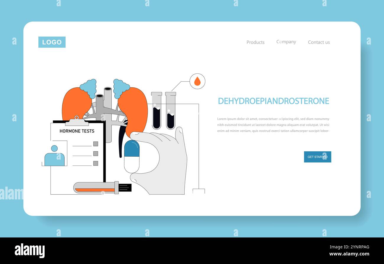 DHEA Supplement concept. Medical illustration of hormone testing for ...